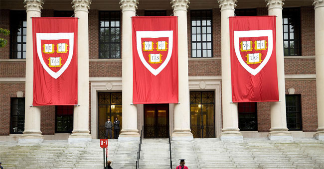 “5 điều tôi học được từ MIT và Harvard” - Hãy học hỏi từ những người ...