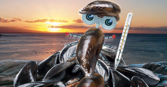 Trai Robot giúp đo lường tác động của biến đổi khí hậu - QuanTriMang.com