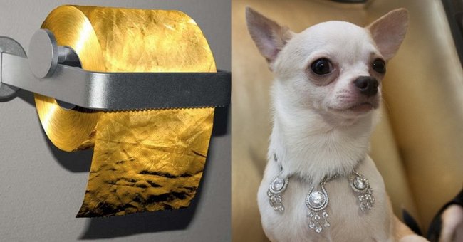 Top 10 món đồ đắt đỏ nhưng vô dụng nhất trên thế giới - QuanTriMang.com