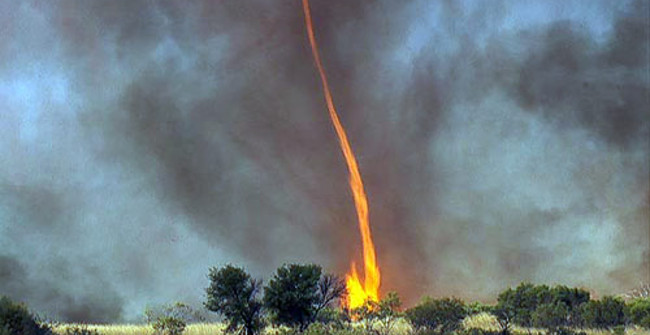 Vòi rồng lửa 1.000°C được hình thành như thế nào? - QuanTriMang.com