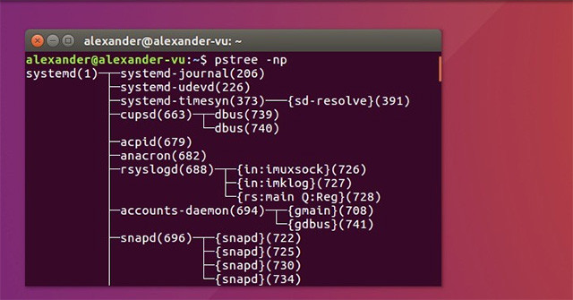 Hướng dẫn sử dụng lệnh pstree trên Linux - QuanTriMang.com