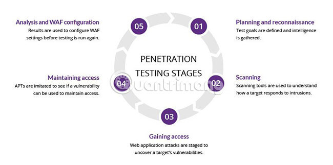 Pentest là gì? Tìm hiểu về Penetration Testing (kiểm thử thâm nhập)