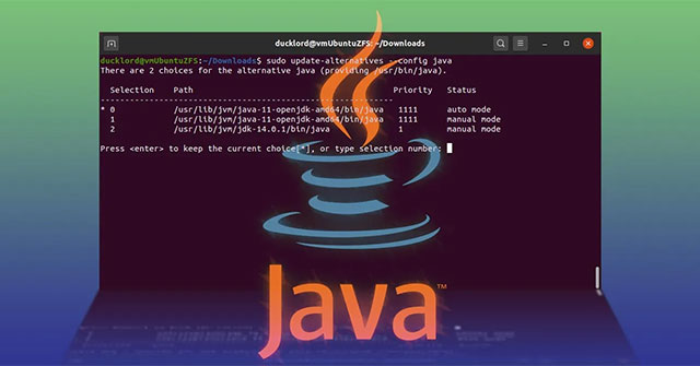 Cách cài đặt Java Runtime trong Ubuntu - QuanTriMang.com