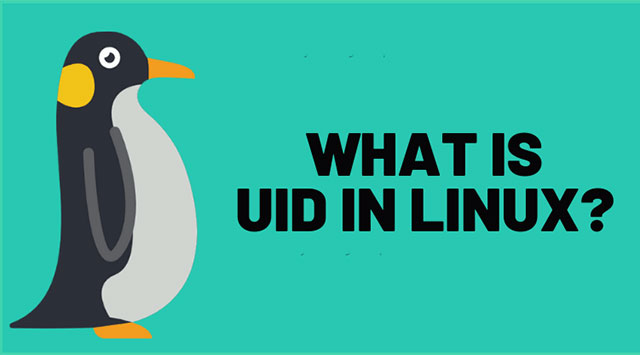 UID trong Linux là gì? Cách tìm và thay đổi UID - QuanTriMang.com