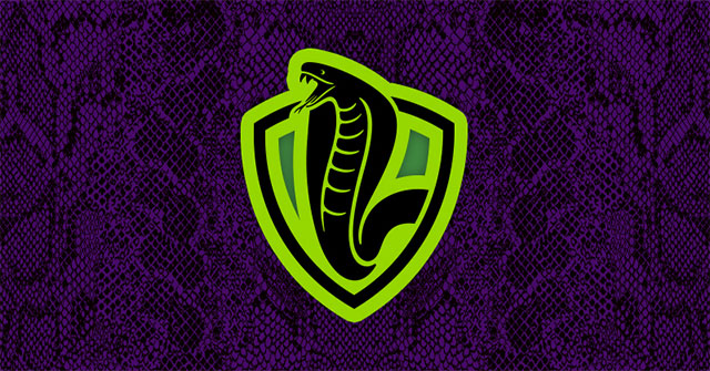 Snake: Ransomware mới có phương thức tấn công độc nhất và cực nguy hiểm ...