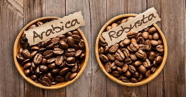 Phân biệt cafe Robusta và Arabica có vị khác nhau như thế nào?