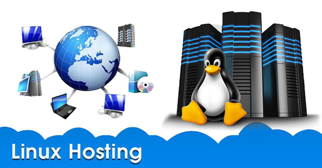 Linux Hosting là gì? - QuanTriMang.com