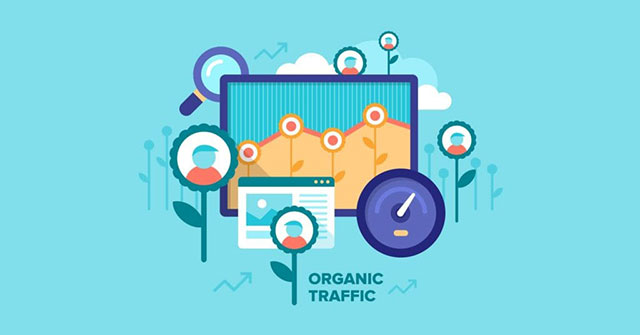 Organic Search Traffic là gì? - QuanTriMang.com