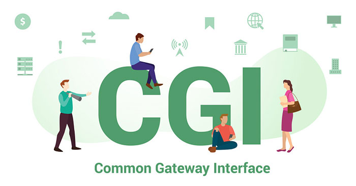 Common Gateway Interface (CGI) là gì? - QuanTriMang.com