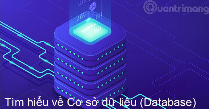 Cơ sở dữ liệu là gì? Database là gì? - QuanTriMang.com