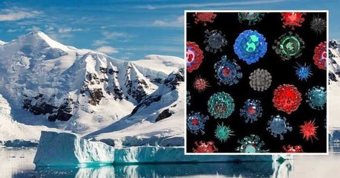 Phát hiện 28 loại virus cổ đại 'siêu lạ' 15.000 năm tuổi dưới sông băng ...