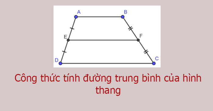 Công thức tính đường trung bình của hình thang - QuanTriMang.com