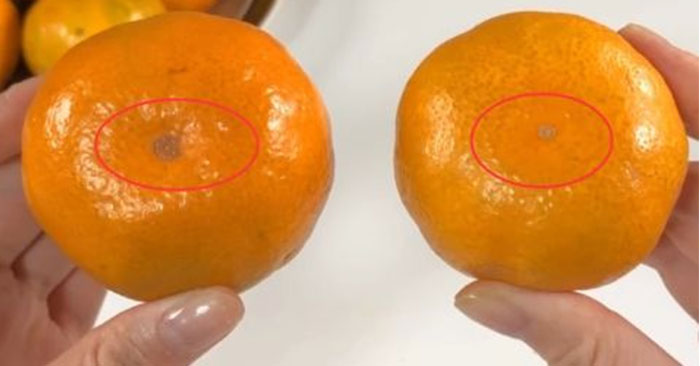 Cách chọn cam canh, cam sành, cam xoàn ngon, ngọt - QuanTriMang.com