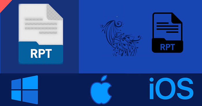 File RPT là gì? - QuanTriMang.com