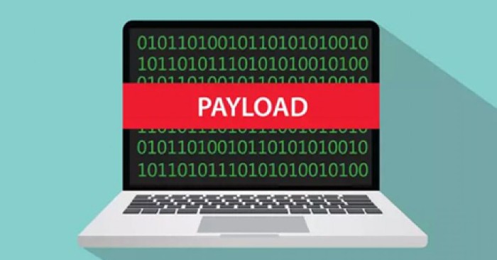 Payload là gì? - QuanTriMang.com