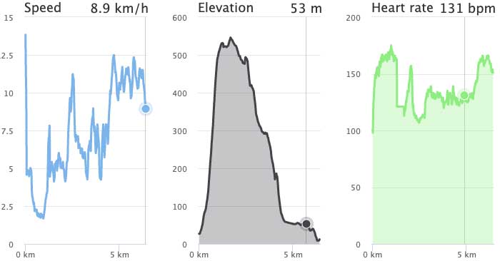 Code Mẫu Biểu đồ được đồng Bộ Hóa Trong Javascript