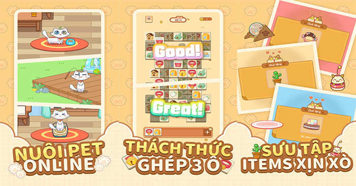 Cat Time - QuanTriMang.com