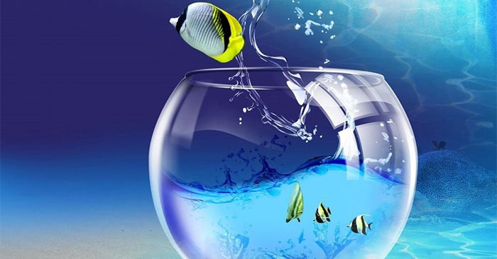 23 Screensaver tuyệt vời bảo vệ màn hình máy tính Windows - QuanTriMang.com