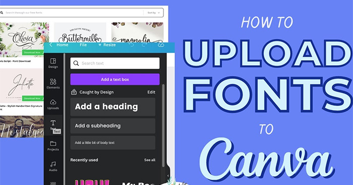 Hướng dẫn tải font chữ lên Canva cực dễ - QuanTriMang.com