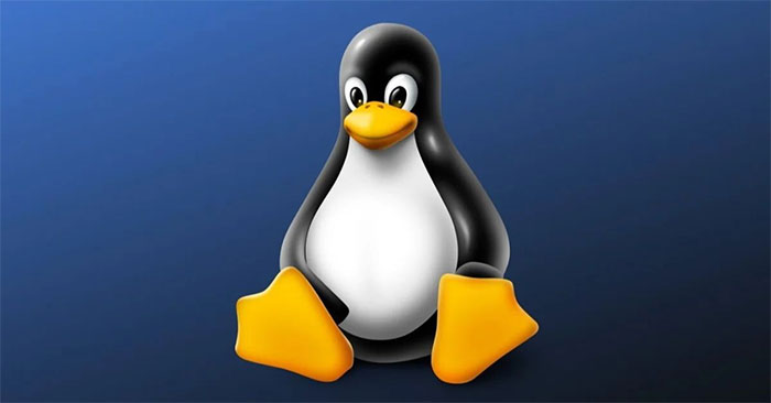 Cách thực thi Shell script trong Linux - QuanTriMang.com Cách thực thi Shell script trong Linux - QuanTriMang.com