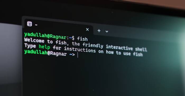 Tìm hiểu về Fish: Windows terminal nhanh, nhiều màu sắc và dễ sử dụng